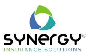 Synergy Insurance Solutions | Agencia de Suscripción de Riesgos